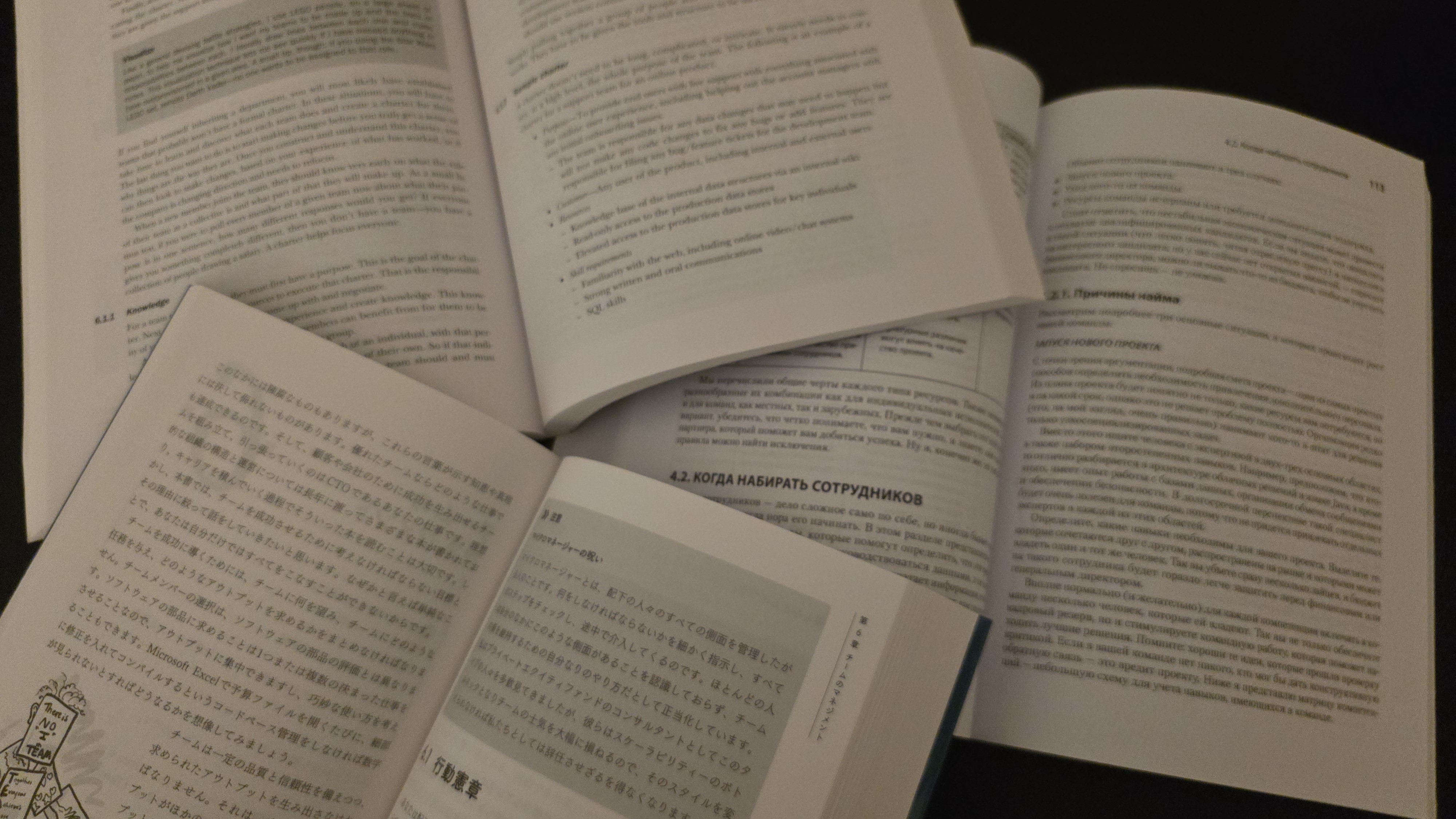 Think like a CTO – Japanese Edition – Alan Williamson